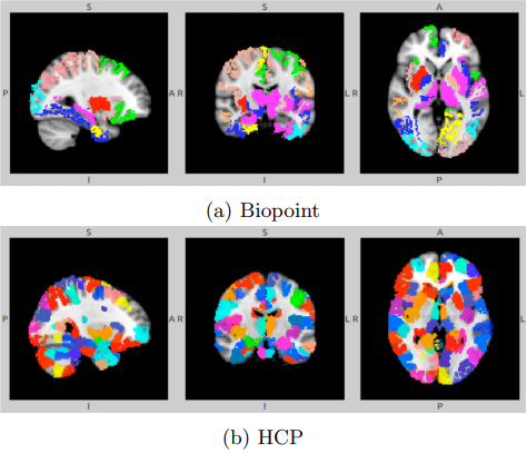 图神经网络 | BrainGNN: 用于功能磁共振成像分析的可解释性脑图神经网络_脑机接口社区-商业新知