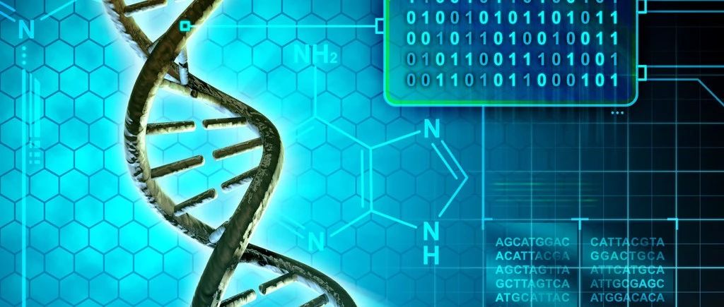 我国科学家利用新GWAS分析方法，发现 17个影响脸型的DNA_医药合作投融资联盟-商业新知