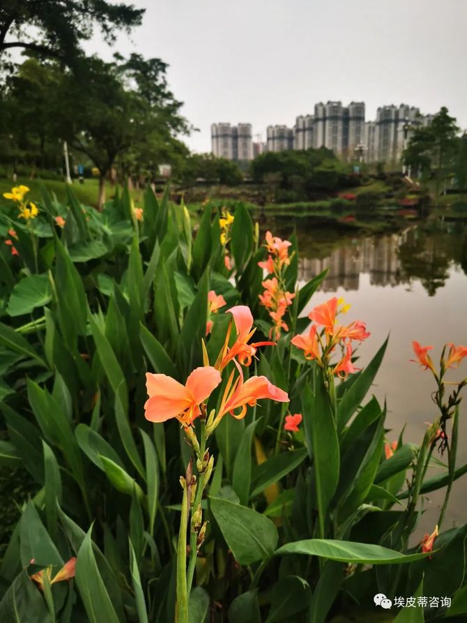 PQA在IPD产品开发流程各阶段的关键职责_IPD产品管理实践-商业新知