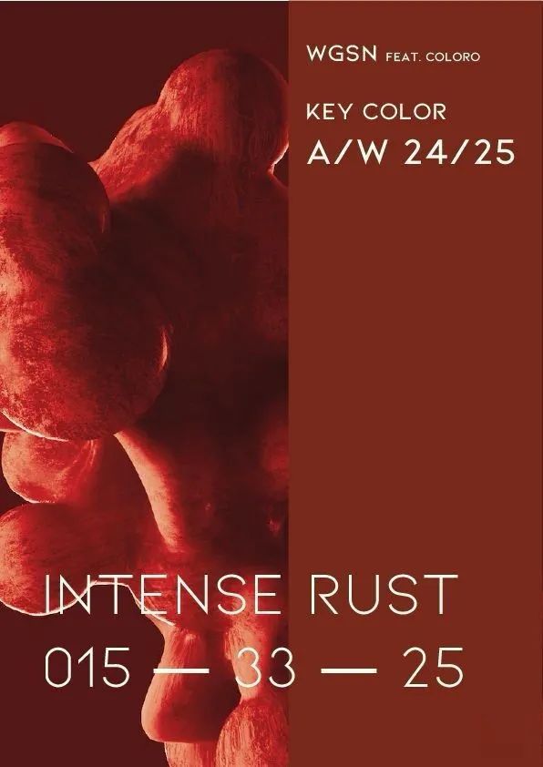 2024 2025秋冬流行色趋势：intense Rust Red 费雷先生 商业新知