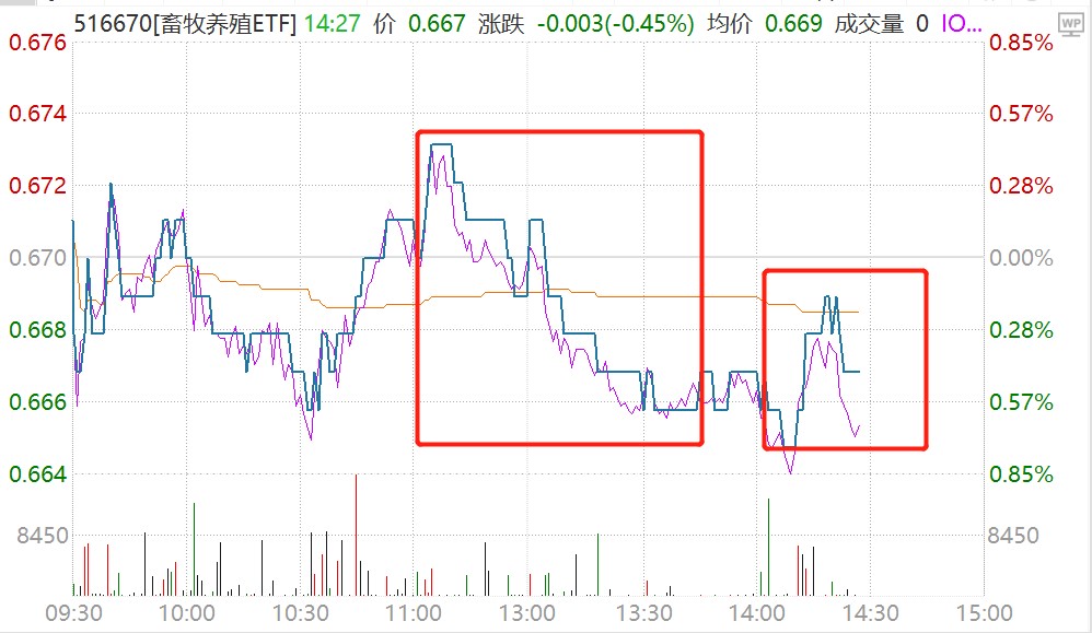 畜牧养殖ETF(516670)盘中持续溢价，前一交易日获净买入132万元，机构：学习效应下股价或越来越领先猪价_有连云-商业新知